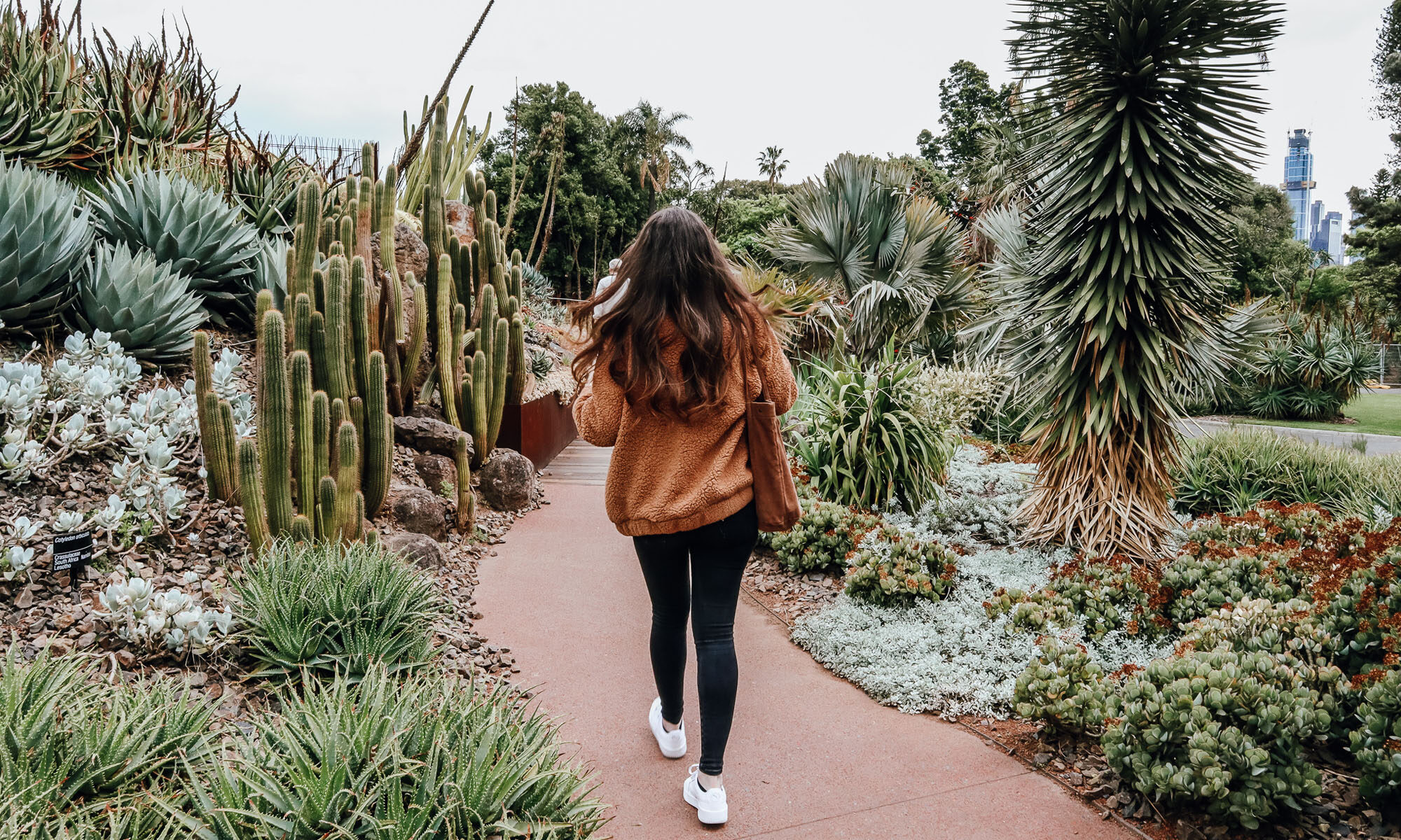 Royal Botanic Gardens of Victoria: a visual guide to Melbourne's flora ...